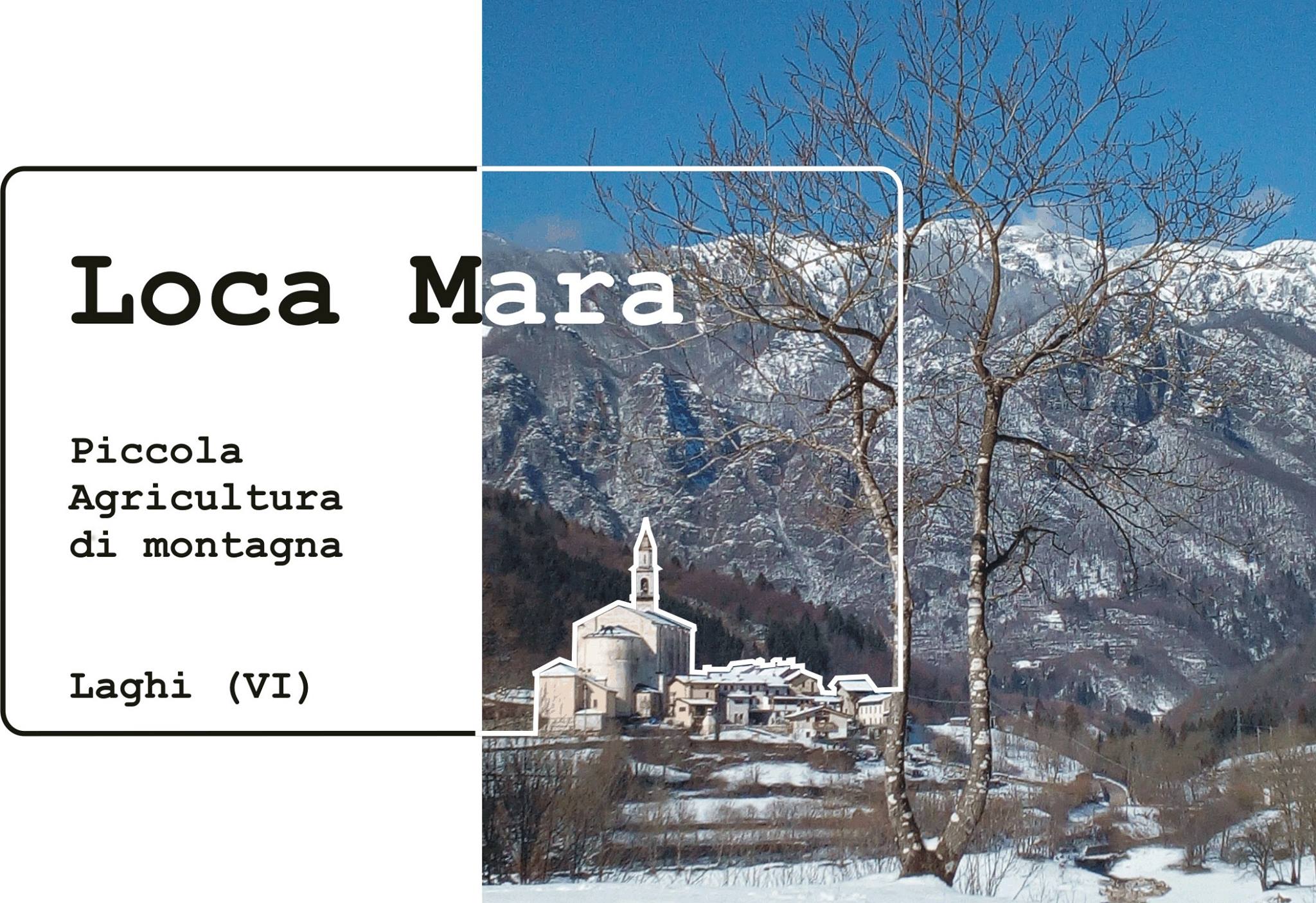 Articoli - Loca Mara